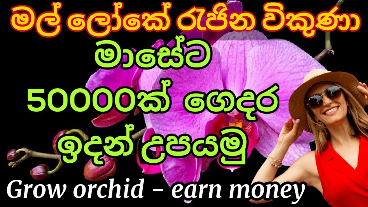 ඕකිඩ් වගාවෙන් ජිවිතය දිනමු | How To Grow Orchid | Orchid Business Idea ...