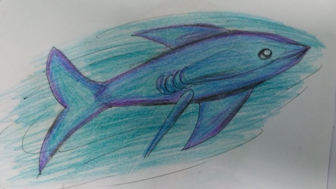Day 301 / Shark drawing / basic drawing class - YouTube