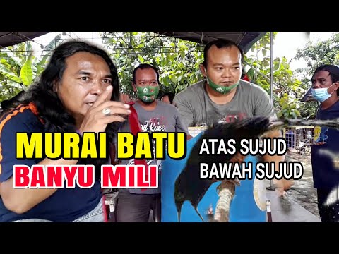 ATAS BAWAH SUJUD MURAI BATU BANYU MLI