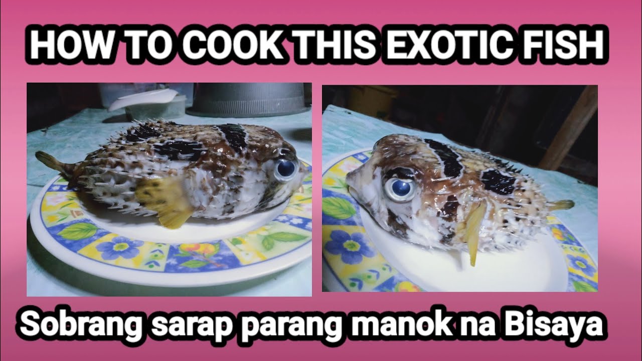 HOW TO COOK EXOTIC TAGUTONGAN FISH IN KALABOG BISAYAN VERSION - YouTube
