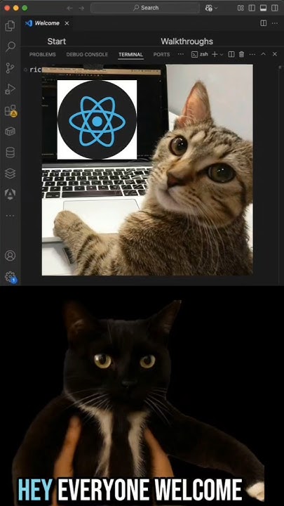 Introduction to React.js + useState hook. #coding #react #developer #javascript #fyp - YouTube
