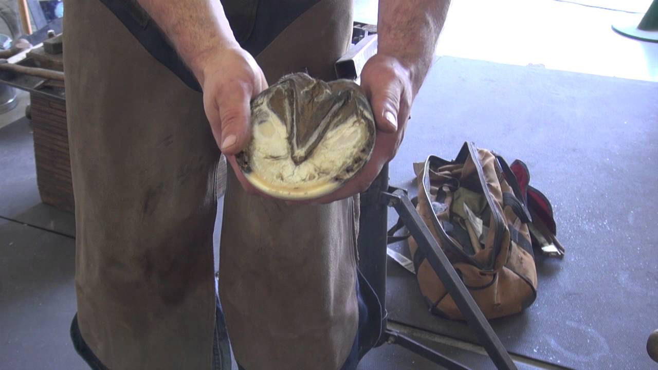 FootPro Clinic Series- Ben Mangan, CJF at Chris Overly Benefit Clinic ...