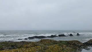 Wavecrest at Half Moon Bay - low tide