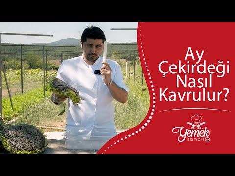 Evde Ay Çekirdeği Kavrulur mu? 5 Dakikada Öğrenin!