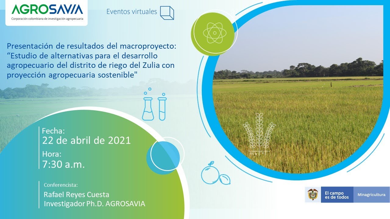 Presentación de resultados del macroproyecto - YouTube