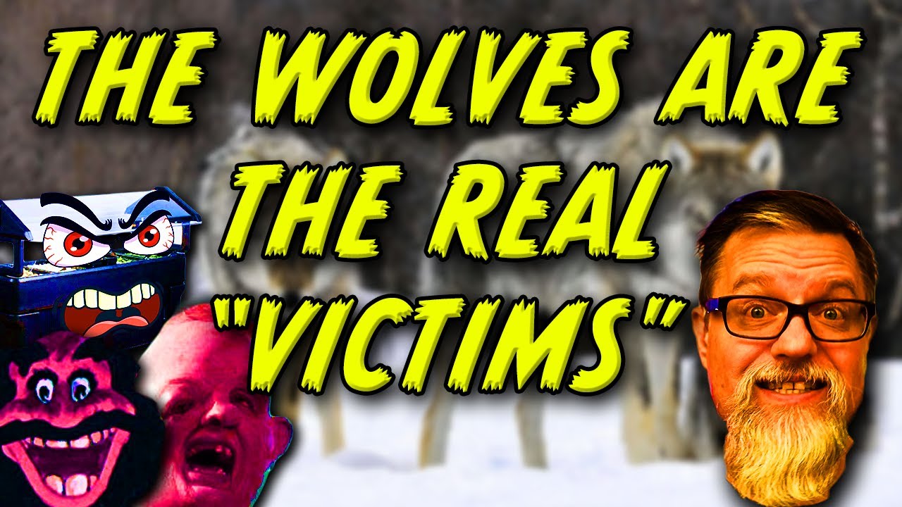 F4F | Wolf Pack Blames its Victims - YouTube