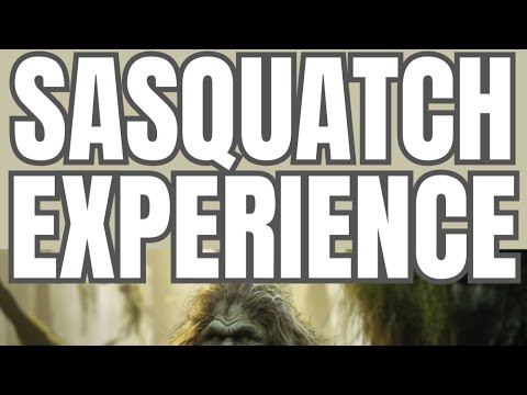 Swamp Apes of the South: A New Look at Mysterious Everglades Creatures