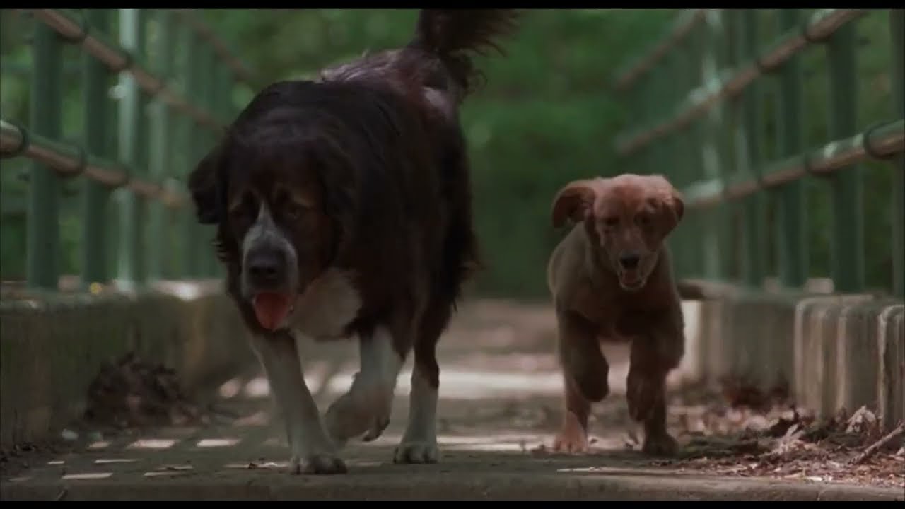 fluke (1995) - rumbo comes back and ending credits - YouTube