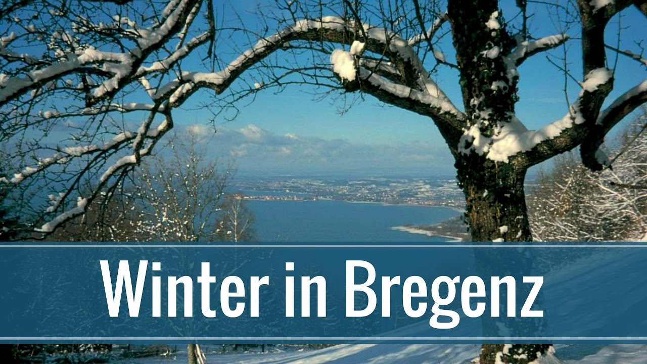 Winter in Bregenz | Rodeln auf dem Pfänder - YouTube