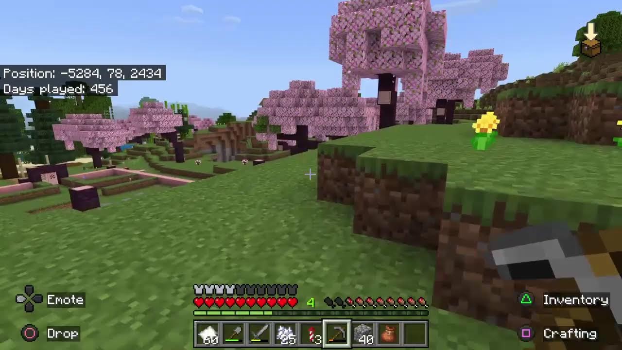 PS4 Minecraft Multiplayer - YouTube
