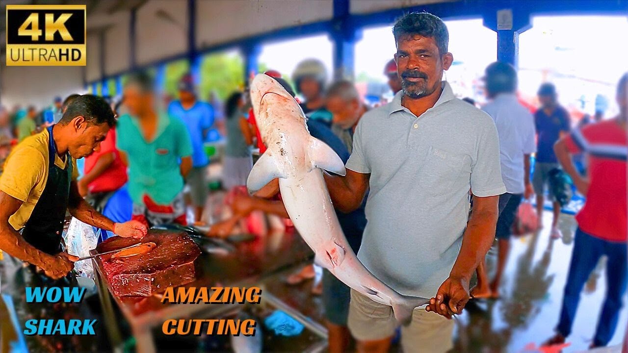 WOW AMAZING !! SHARK FISH CUTTING SKILLS - YouTube