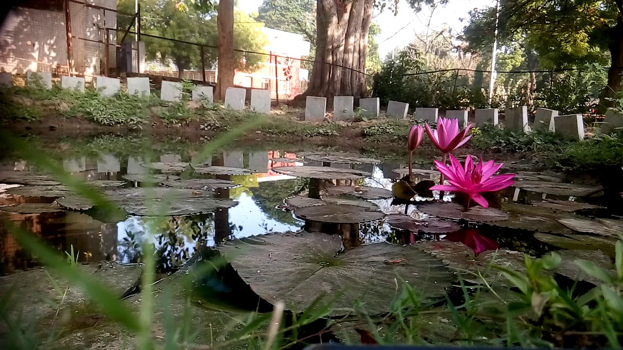 Msu boys hostel #maharshiarvindhall # Baroda #Vadodara #our Vadodara ...