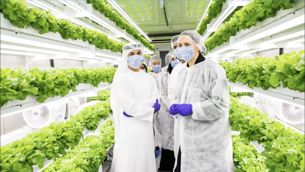 Modular Vertical Farming in the Middle East - Farm Tour w/ UAE's ...