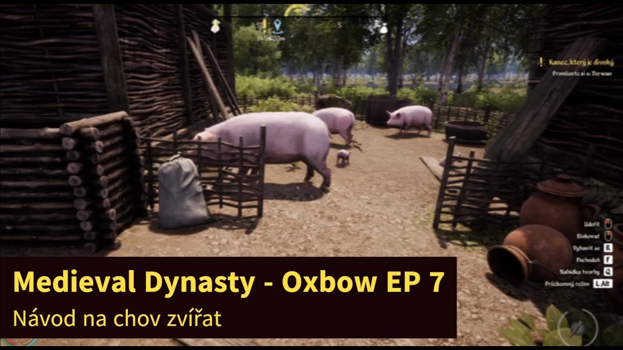 Medieval Dynasty - Oxbow E7: Návod na chov zvířat - YouTube