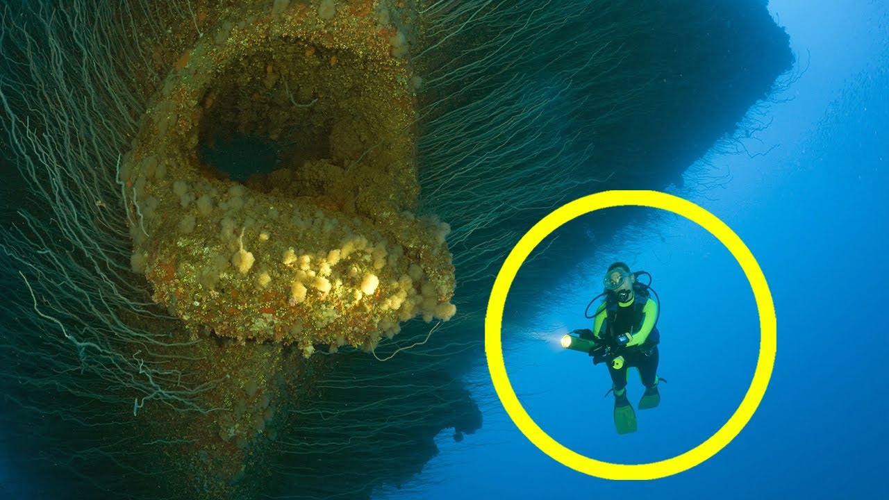 Top 10 Unusual Ocean Mysteries We Still Can't Solve - YouTube