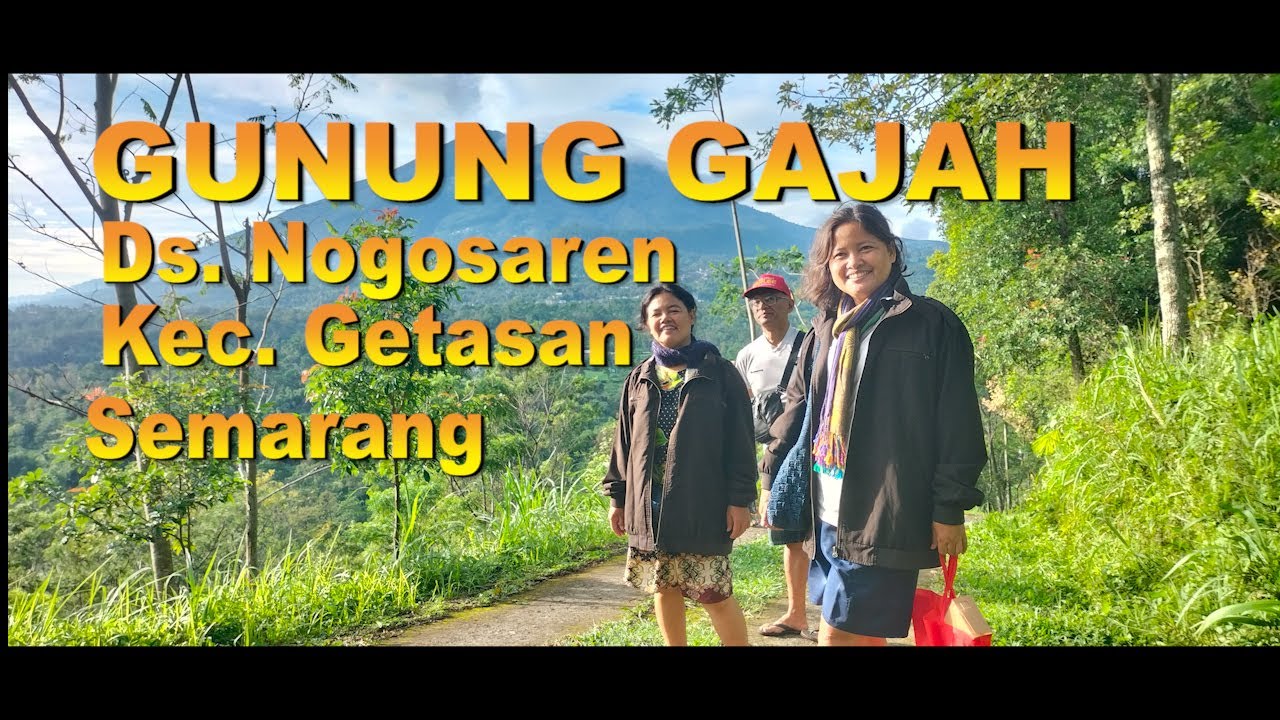 NAIK GUNUNG GAJAH di Desa Nogosaren Kec. Getasan Kab. Semarang - YouTube