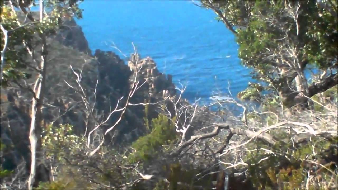 The Epic Walk - YouTube