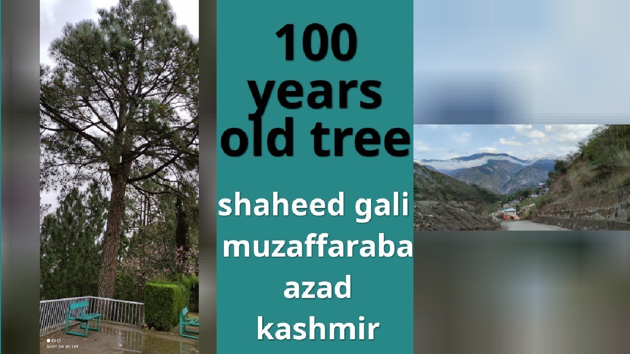 shaheed gali muzaffarabad azad kashmir || muzaffarabad to shaheed gali ...