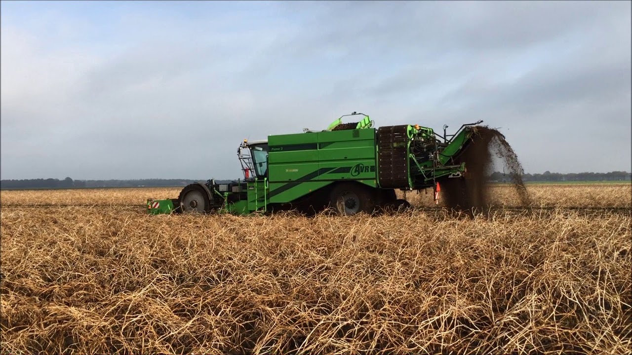 Aardappel rooien met AVR Puma 3 - YouTube