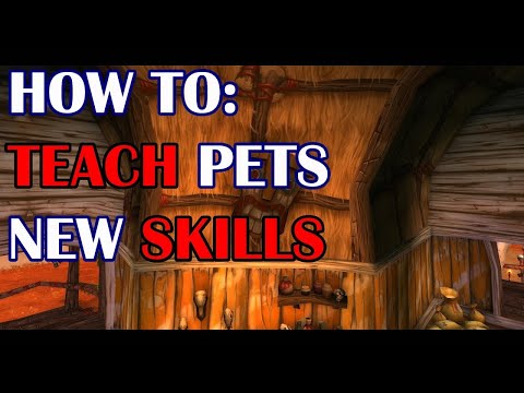 What Pets To Tame Wow Classic Screech Dive Bite