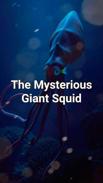 The Mysterious Giant Squid #marinelife #marine #nature #funfacts # ...