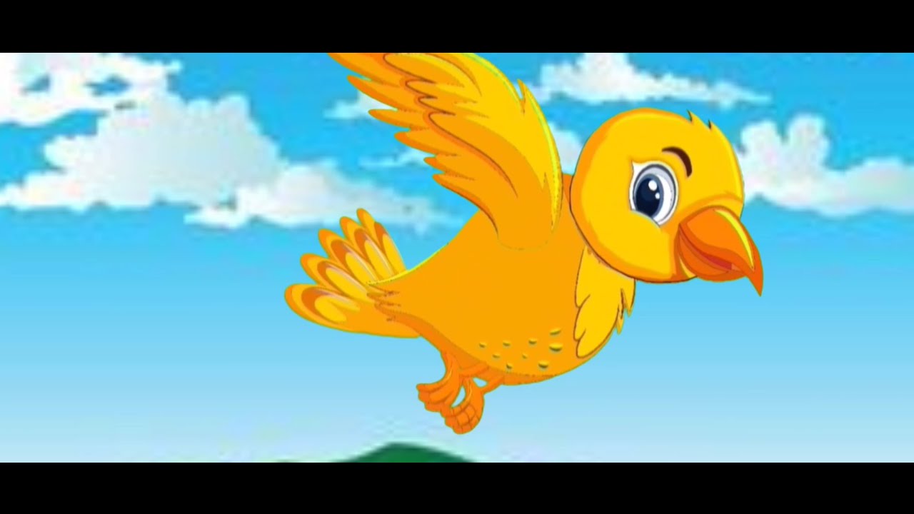 Talking bird/cartoon flying bird/green screen bird/tuni flying bird ...