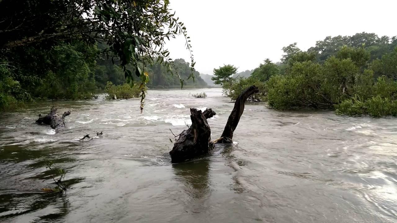 Kumaradhara River - YouTube