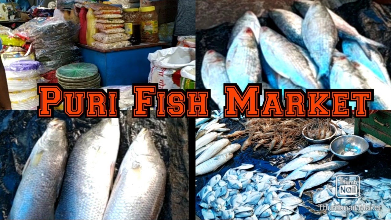 Puri Local Fish market - YouTube