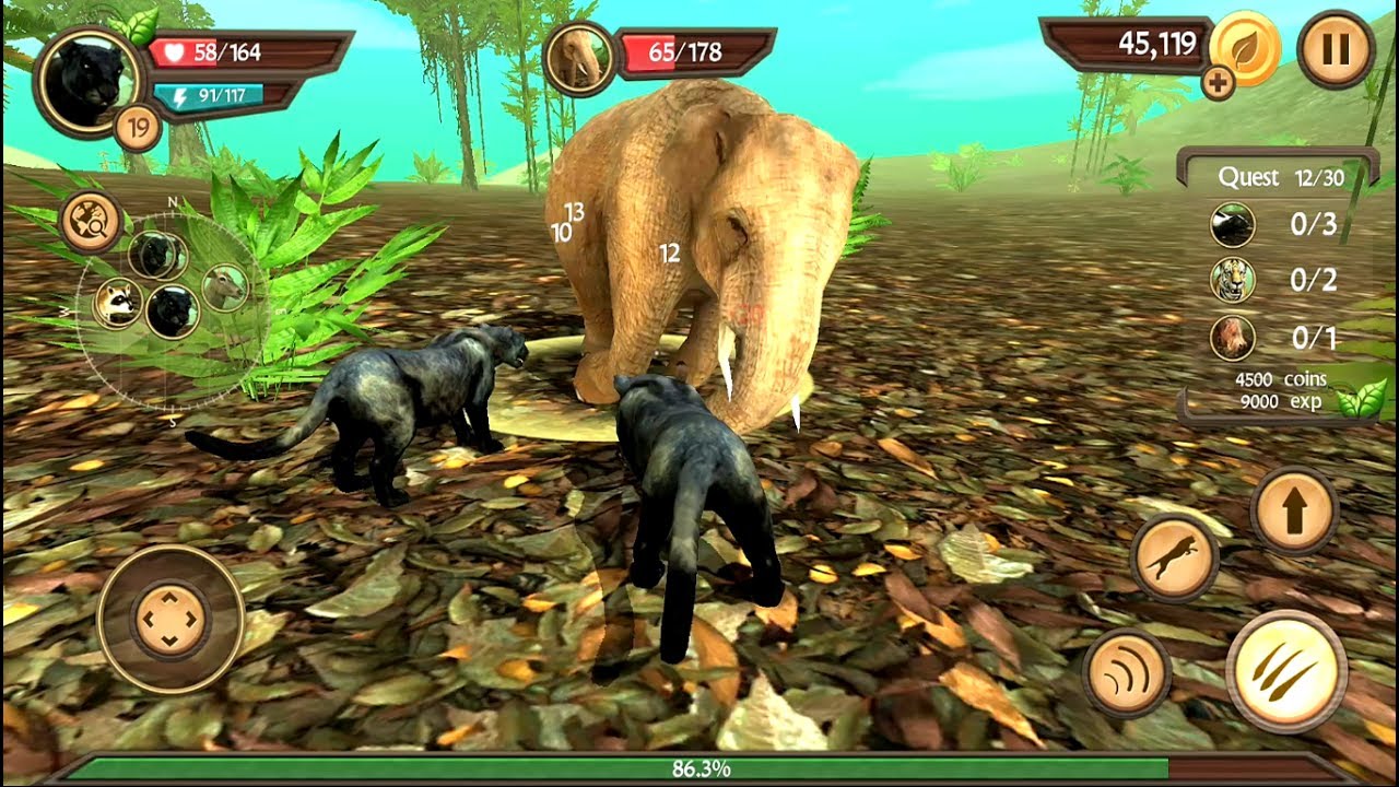 Wild Panther Sim 3D Android Gameplay HD #2 - YouTube