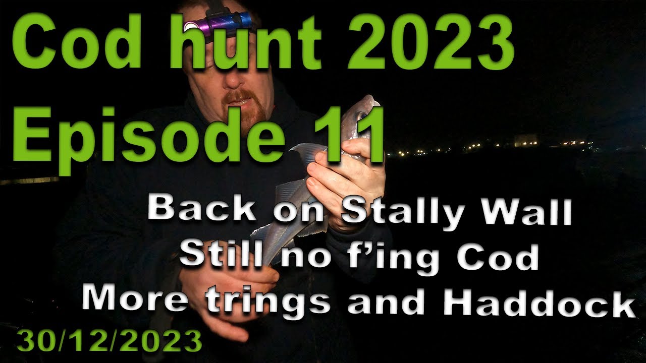 Sea Fishing | Stallingborough Wall | Cod Hunt 2023 | Beach Fishing | Ep ...