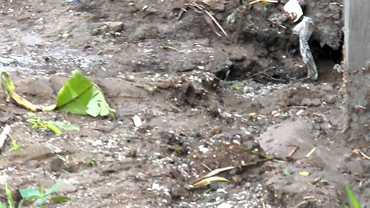 Boalan Lot - Kuya - YouTube