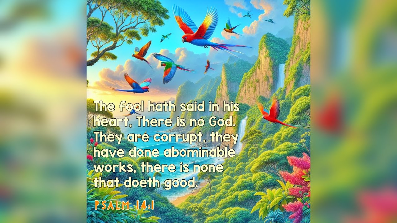 The fool hath said in his heart, there is no God - Psalm 14:1, Romans 1 ...