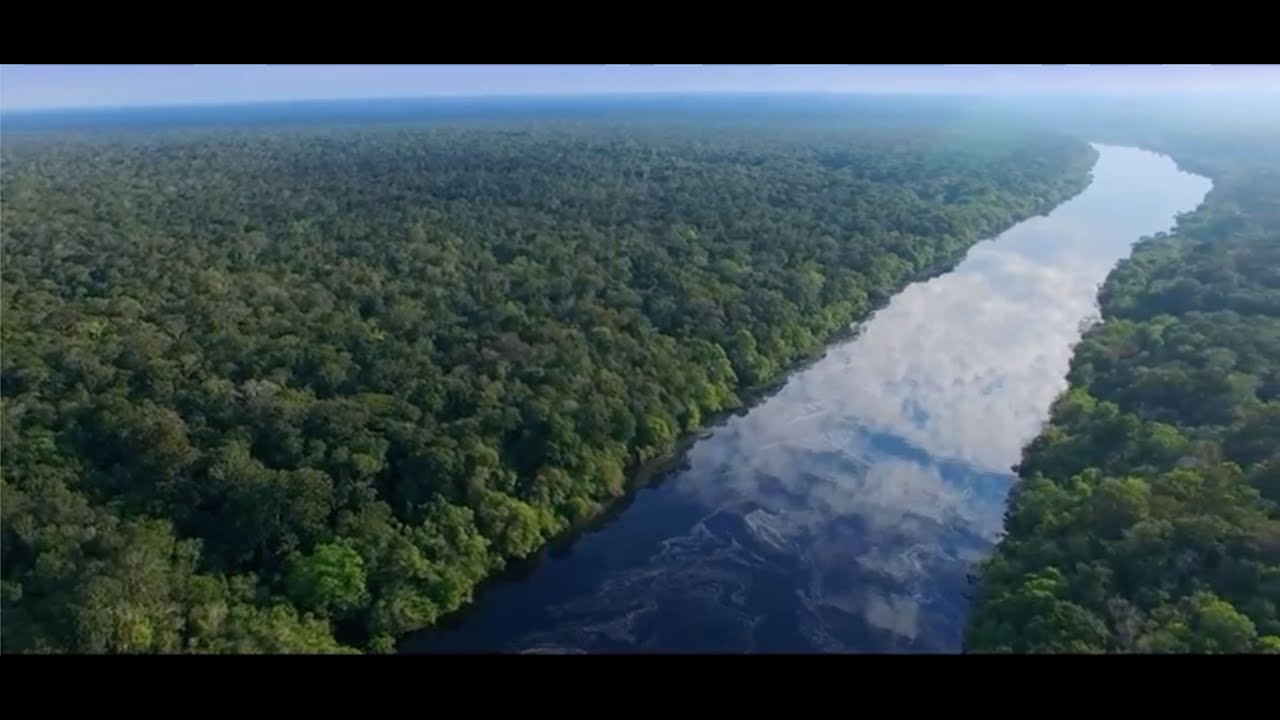 "Vigía forestal" - IQ FireWatch in Colombia - English subtitles - YouTube