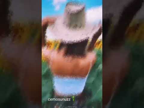 ilk video knk olmak isteyen ~melis