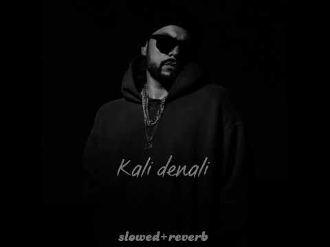 Bohemia - Kali denali (slowed+reverb)