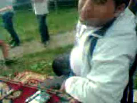 Yagisda vur catdasin