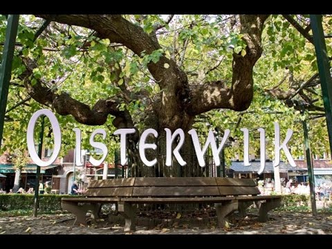 Oisterwijk City Tour - YouTube