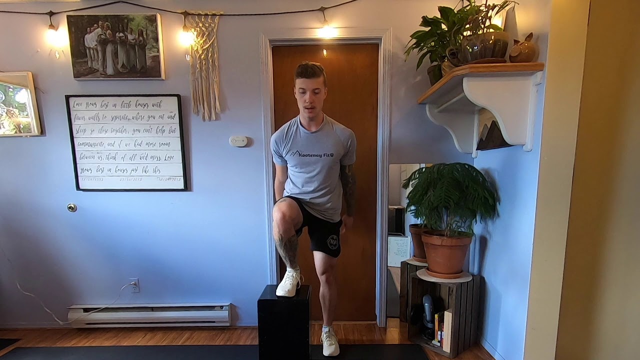 Single Leg Step Down | Exercise Demo - YouTube