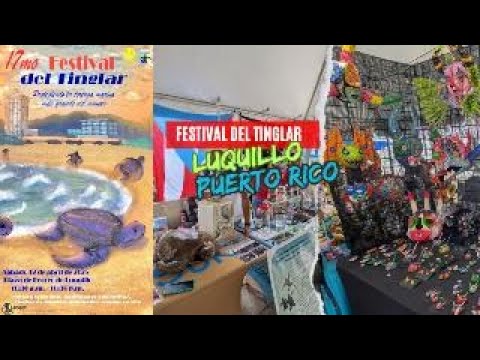 Festival del Tinglar 2025 - YouTube