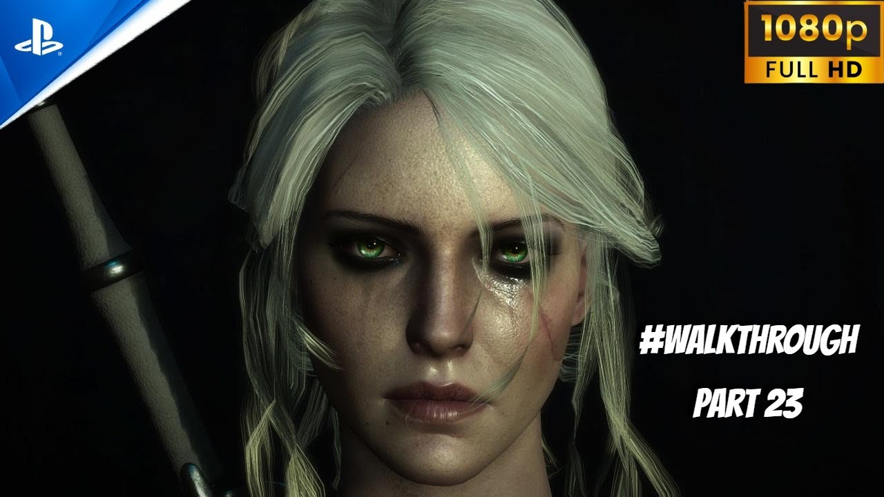 The Witcher 3 Wild Hunt Walkthrough Gameplay Part 23 - YouTube