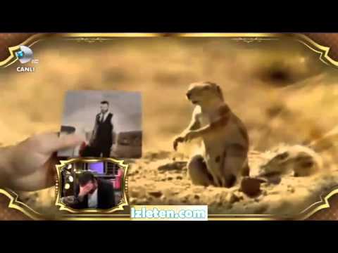 Alişan'dan korkan hayvanlar - Beyaz Show 5 Aralık