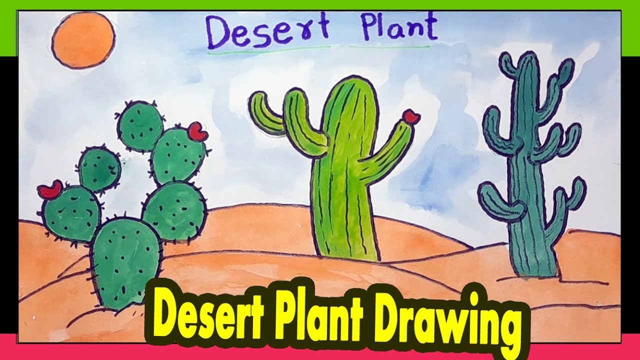 Desert Plants For Kids Desert Plants Report, Flip Book Research