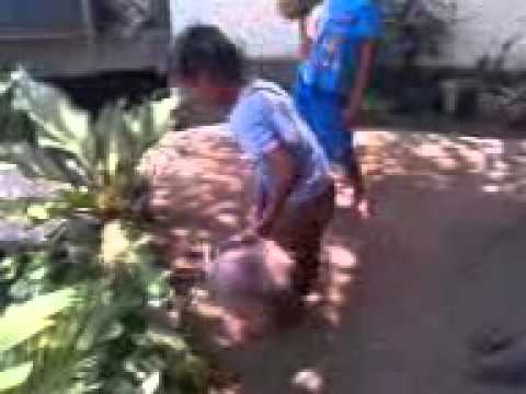 bocah olahraga