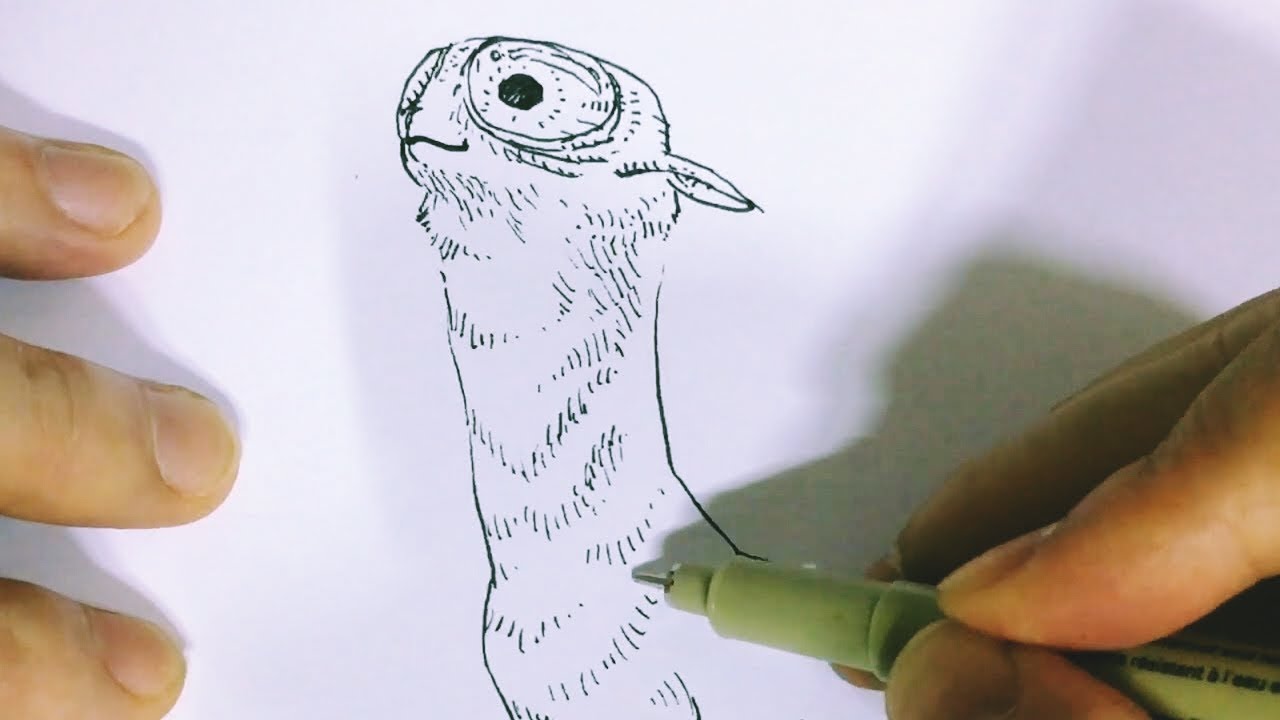 [펜그림] 신비한 동물사전 문카프 그리기 Drawing Mooncalf - YouTube