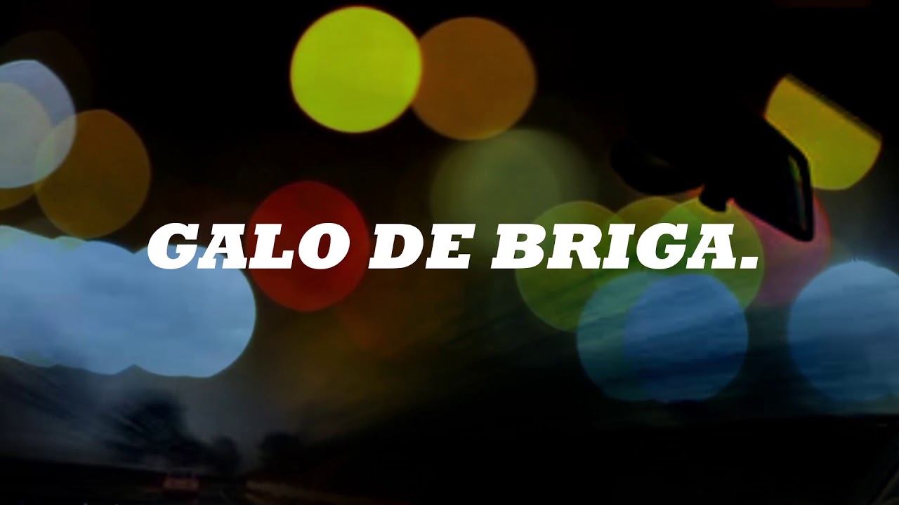 NA ROTA DA RIMA Nelson Maca - YouTube