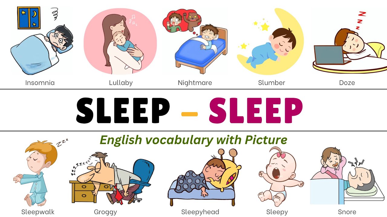 Master English vocabulary about Sleep with Pictures | English ...