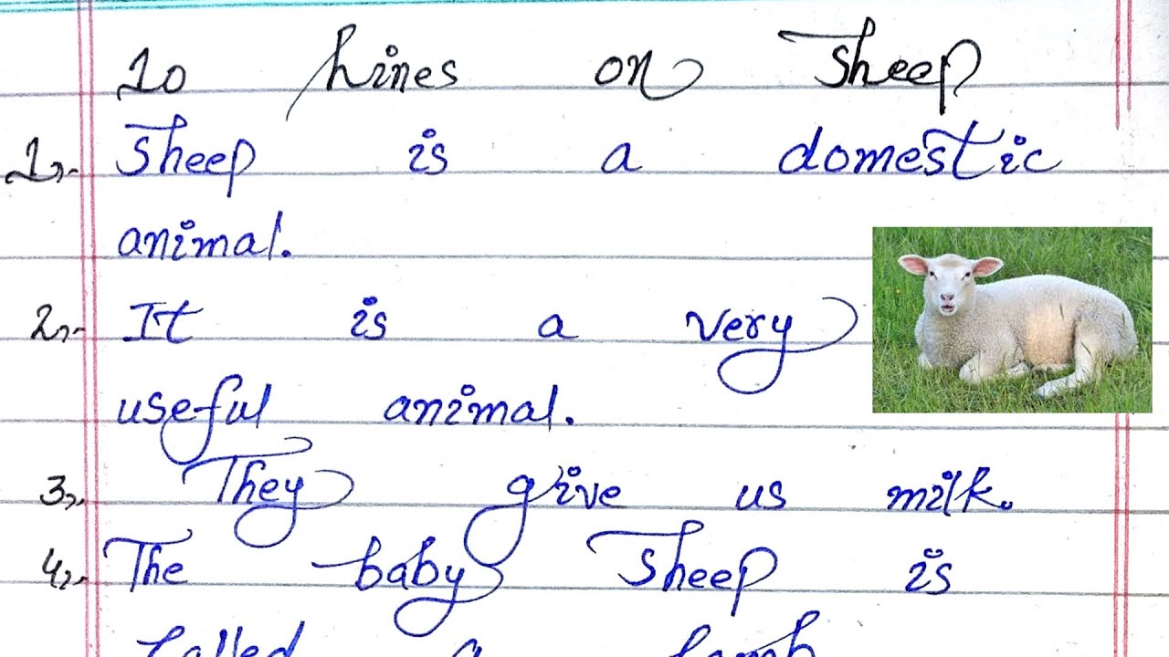 10 Lines On Sheep | Few Lines On Sheep | SR Handwriting - YouTube