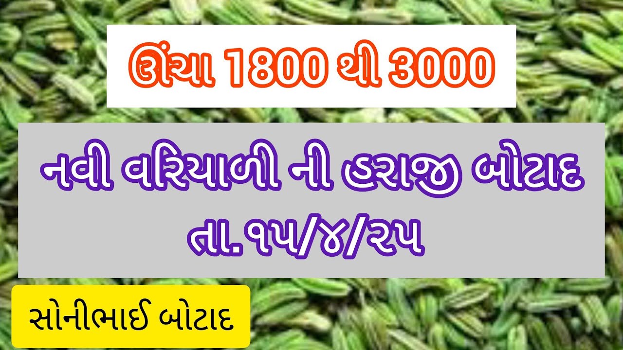 તા.૧૫/૦૪/૨૫|વરિયાળી ની હરાજી|variyali NI HARAJI|BOTAD YARD|વરિયાળી બજાર ...