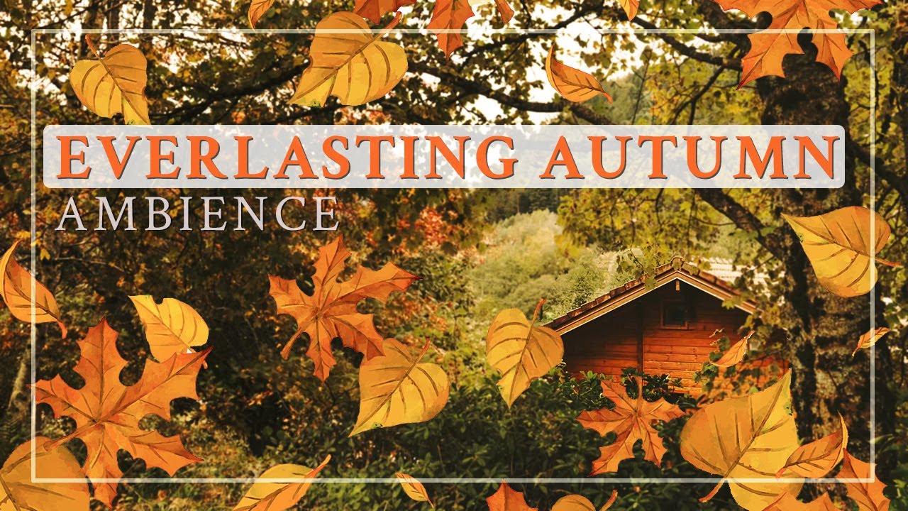 Everlasting Autumn Ambience 🍂 3 hours of Relaxing Sounds: Wind, birds ...