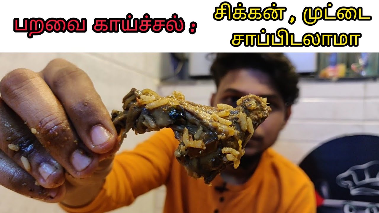 பறவை காய்ச்சல் : சிக்கன், முட்டை சாப்பிடலாமா..? | Paravai kaaichal ...